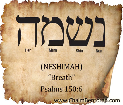 HEBREW WORD STUDY – BREATH - Chaim Bentorah