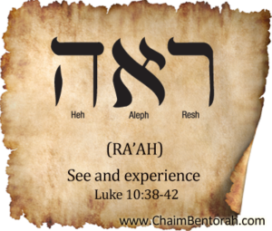 HEBREW WORD STUDY – SEE AND EXPERIENCE - Chaim Bentorah